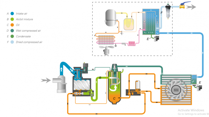 Ga250+ Oil Injected Rotary Atlas Screw Air Compressor 50hz Fixed Frequency
